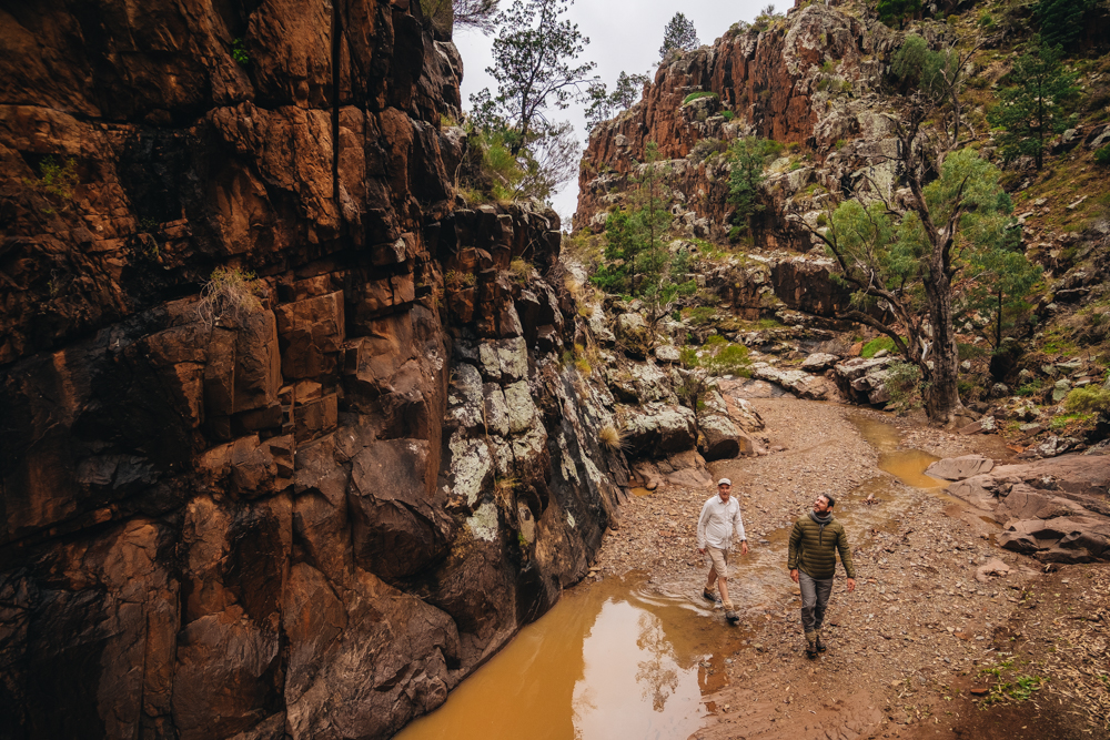 The Experience – Arkaba